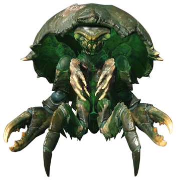 Mirelurk (Fallout 4) | El Refugio | FANDOM powered by Wikia