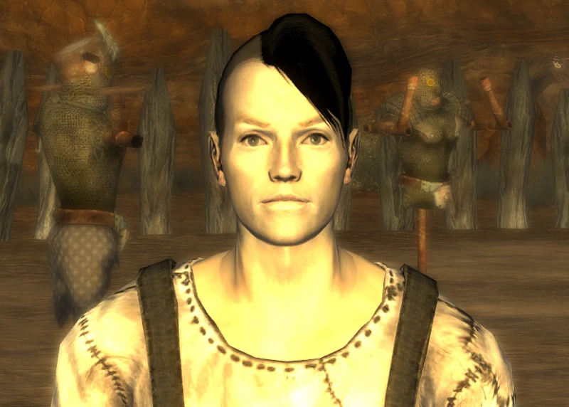 Fallout New Vegas Haircut Far Barber Vanilla Style Hair Pack