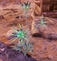 Thistle (Fallout 76) | Fallout Wiki | Fandom