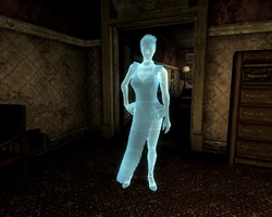 Holography | Fallout Wiki | Fandom
