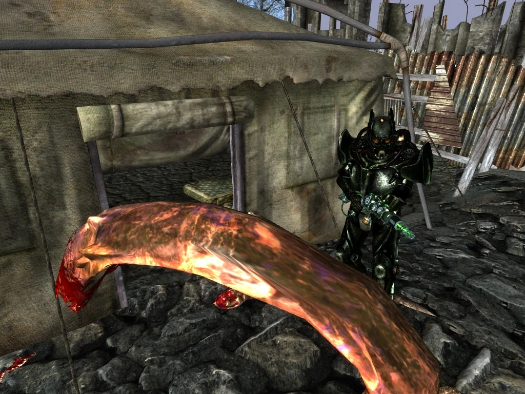 Image - Killed me a floater.jpg | Fallout Wiki | FANDOM powered by Wikia