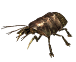 Radroach | Fallout Wiki | FANDOM powered by Wikia