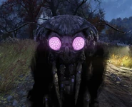 Mothman | Fallout Wiki | FANDOM powered by Wikia