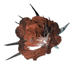 Ash rose | Fallout Wiki | Fandom