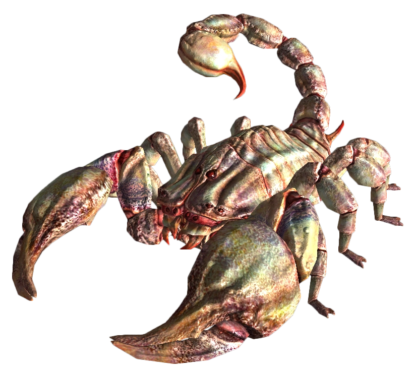 Radscorpion | L'Abri | Fandom