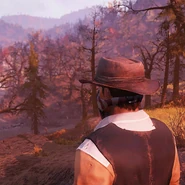 Bandana (Fallout 76) | Fallout Wiki | Fandom
