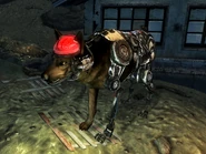 Cyberdog (Fallout: New Vegas) | Fallout Wiki | FANDOM powered by Wikia