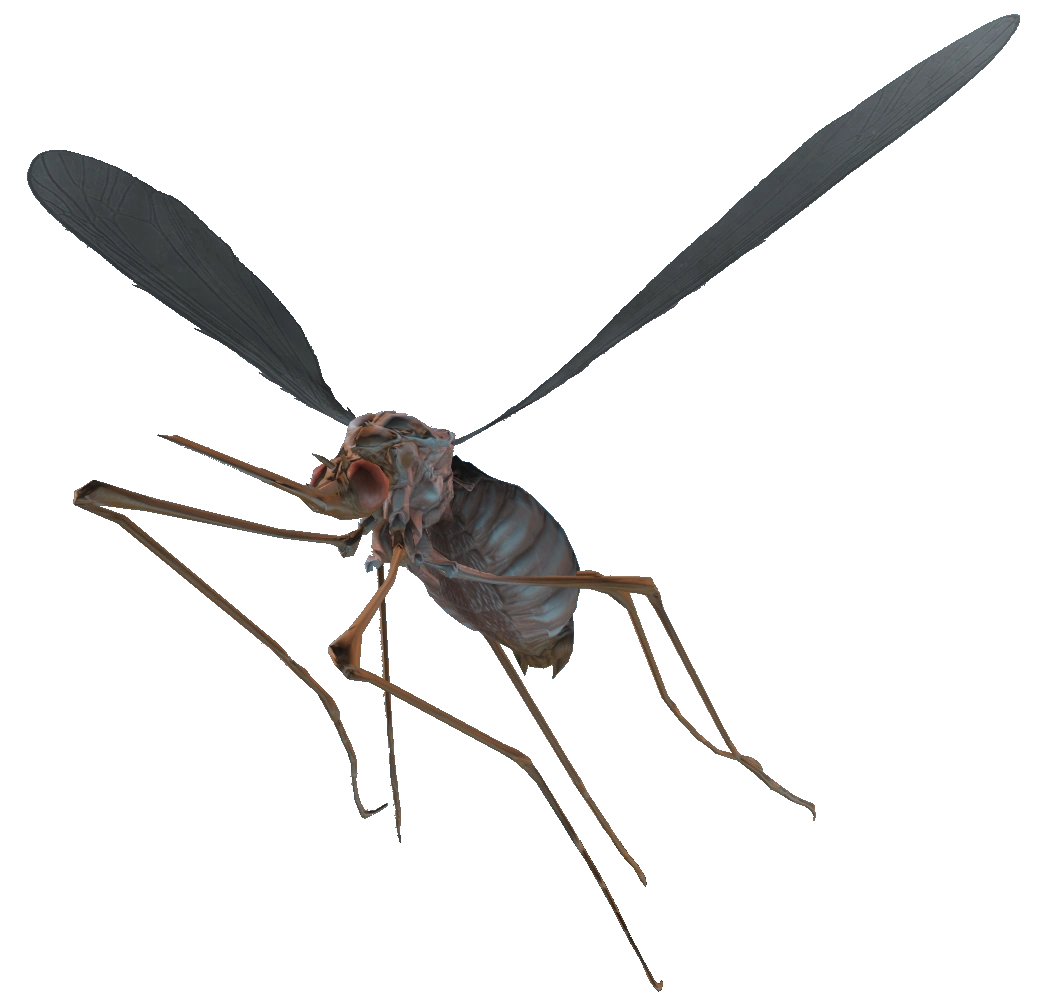 Bloodbug | Fallout Wiki | FANDOM powered by Wikia