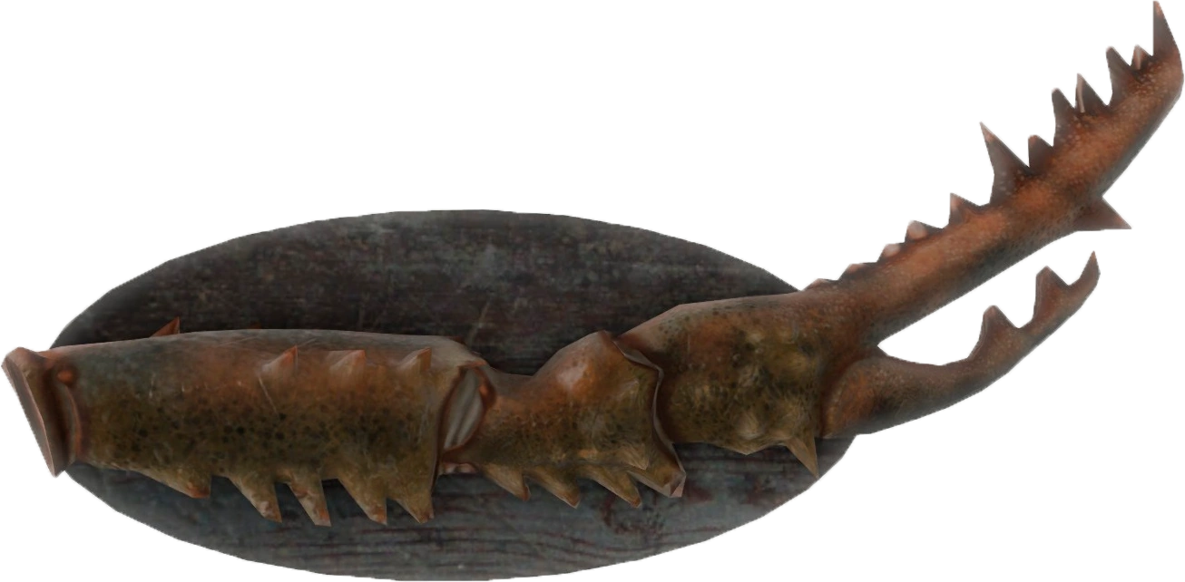 Mirelurk (Fallout 4) - Fallout Wiki, a wiki do Fallout - Tudo sobre o ...