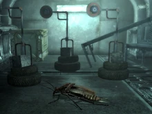 Radroach (Fallout 3) | Fallout Wiki | FANDOM powered by Wikia