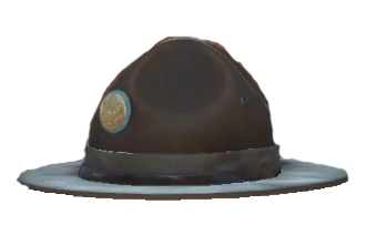 Campaign hat | Fallout Wiki | Fandom