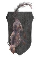 Squirrel (Fallout 76) | Fallout Wiki | Fandom