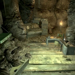 锦缎花山洞 | Fallout中文維基 | Fandom