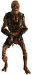 Feral ghoul | Fallout Wiki | FANDOM powered by Wikia
