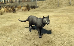 Luna | Fallout Wiki | Fandom