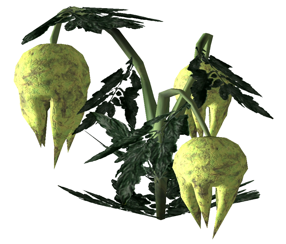 Przetworzone owoce punga | Krypta | Fandom