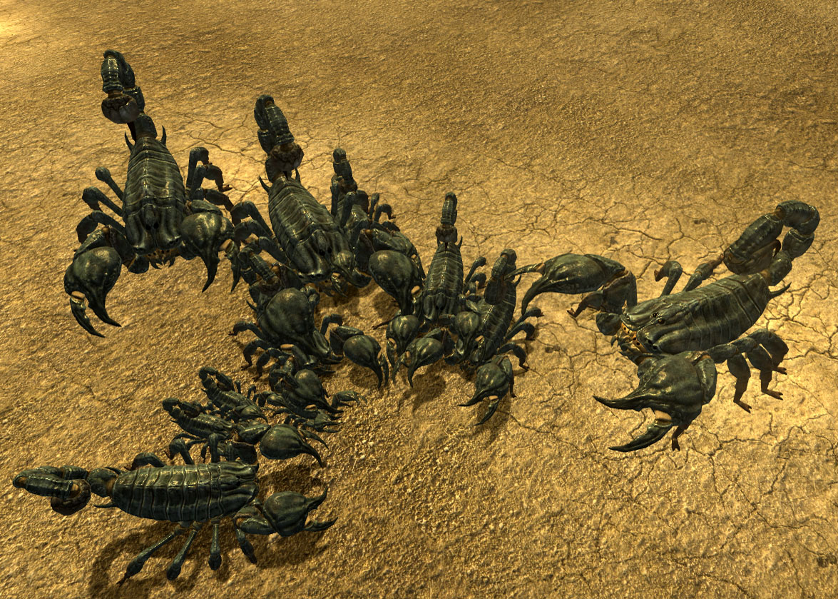 Радскорпион (Fallout: New Vegas) | Убежище | Fandom