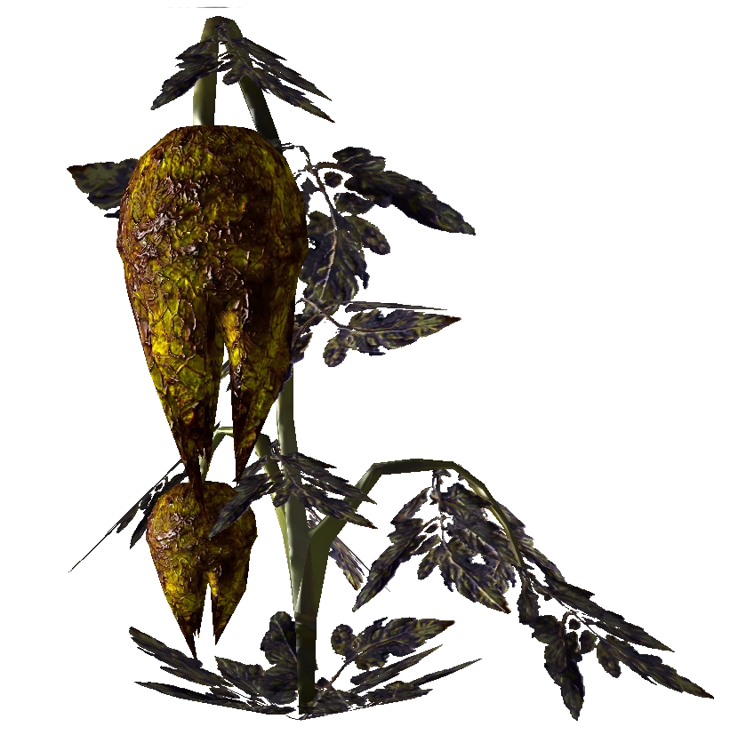 Punga fruit | Fallout Wiki | Fandom