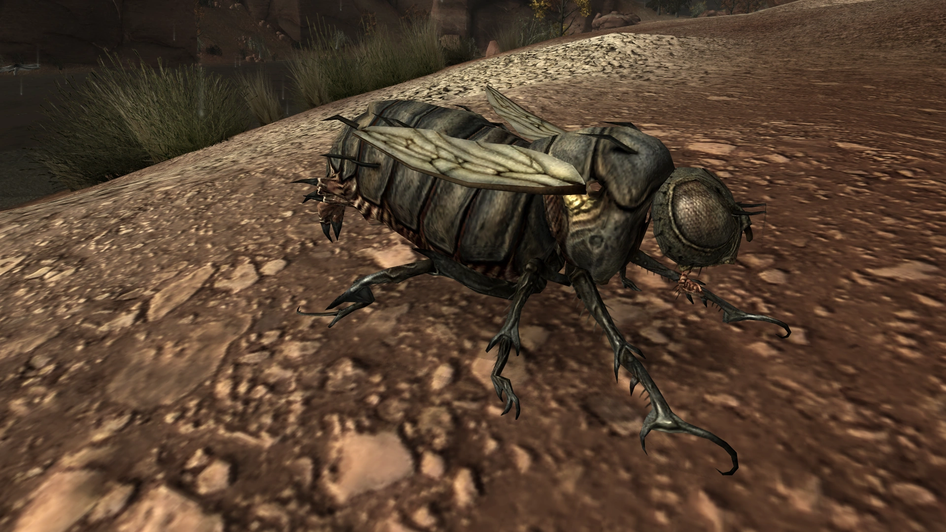 Дутень | Убежище | Fandom