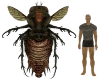 Bloatfly (Fallout: New Vegas) | Fallout Wiki | FANDOM powered by Wikia