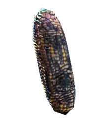 Corn (Fallout 76) | Fallout Wiki | Fandom