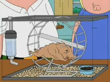 Image - Buff Hamster.jpg | Family Guy Wiki | FANDOM powered by Wikia