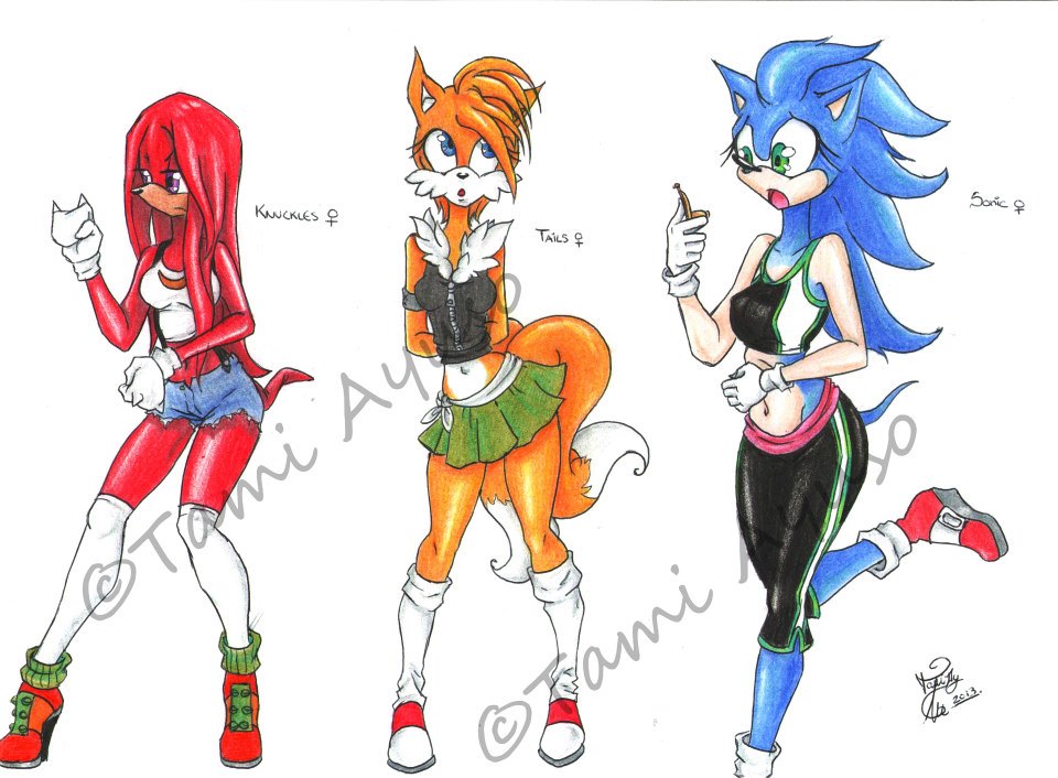 Team Sonic Female Version Fan Fiction Fandom Powered By Wikia