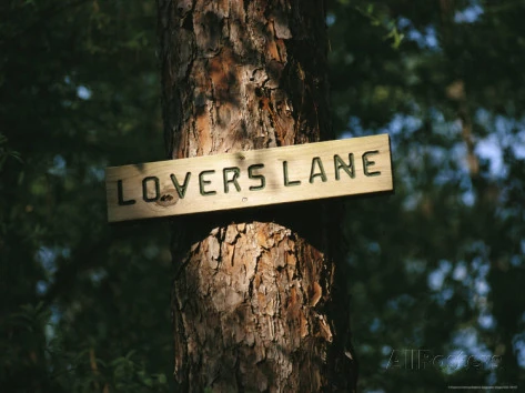 Lovers Lane | Fanon Wiki | Fandom
