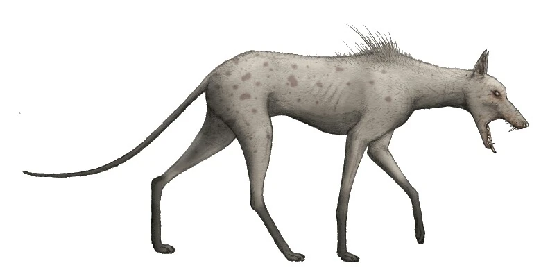 Vampire Fox | Fanon Wiki | Fandom