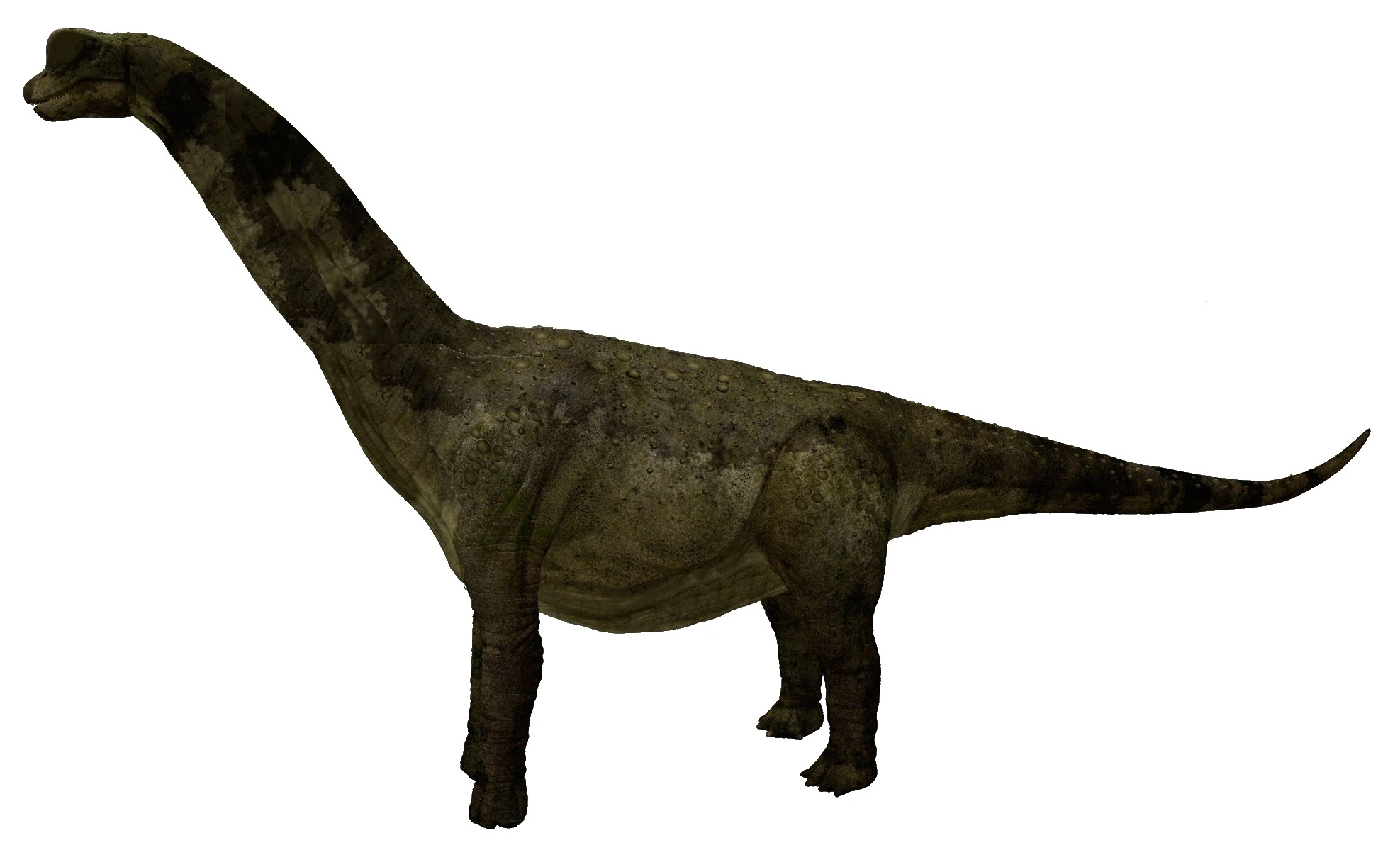 Paralititan (SciiFii) | Fanon Wiki | Fandom