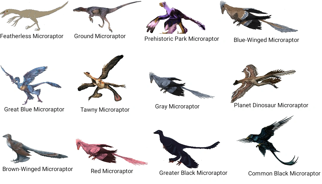 North American Microraptor Disaster | Fanon Wiki | Fandom