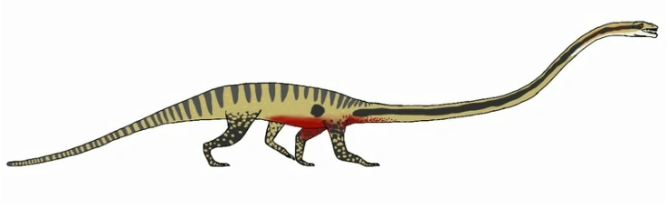 Dinocephalosaurus (SciiFii) | Fanon Wiki | Fandom
