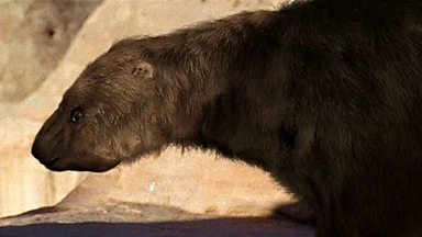 Shasta Ground Sloth | Fanon Wiki | Fandom