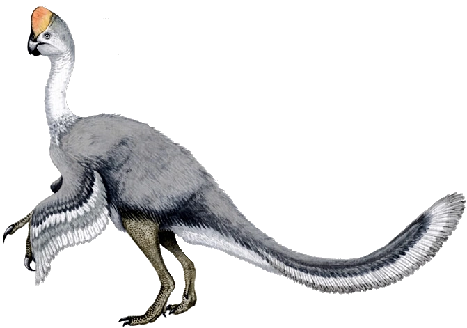 Oviraptor (SciiFii) | Fanon Wiki | Fandom