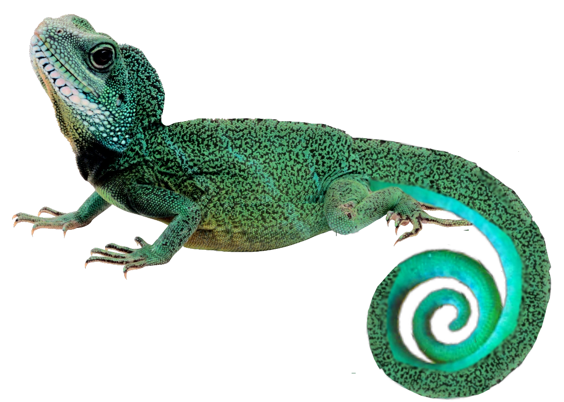 Bolivian Tree Lizard | Fanon Wiki | Fandom