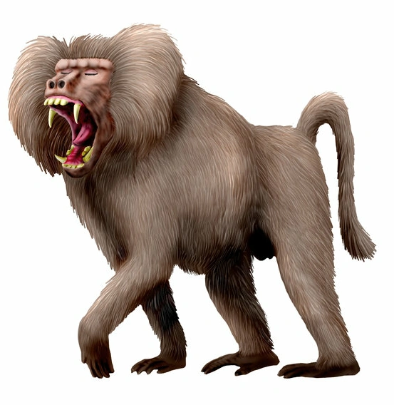 Western Giant Baboon | Fanon Wiki | Fandom
