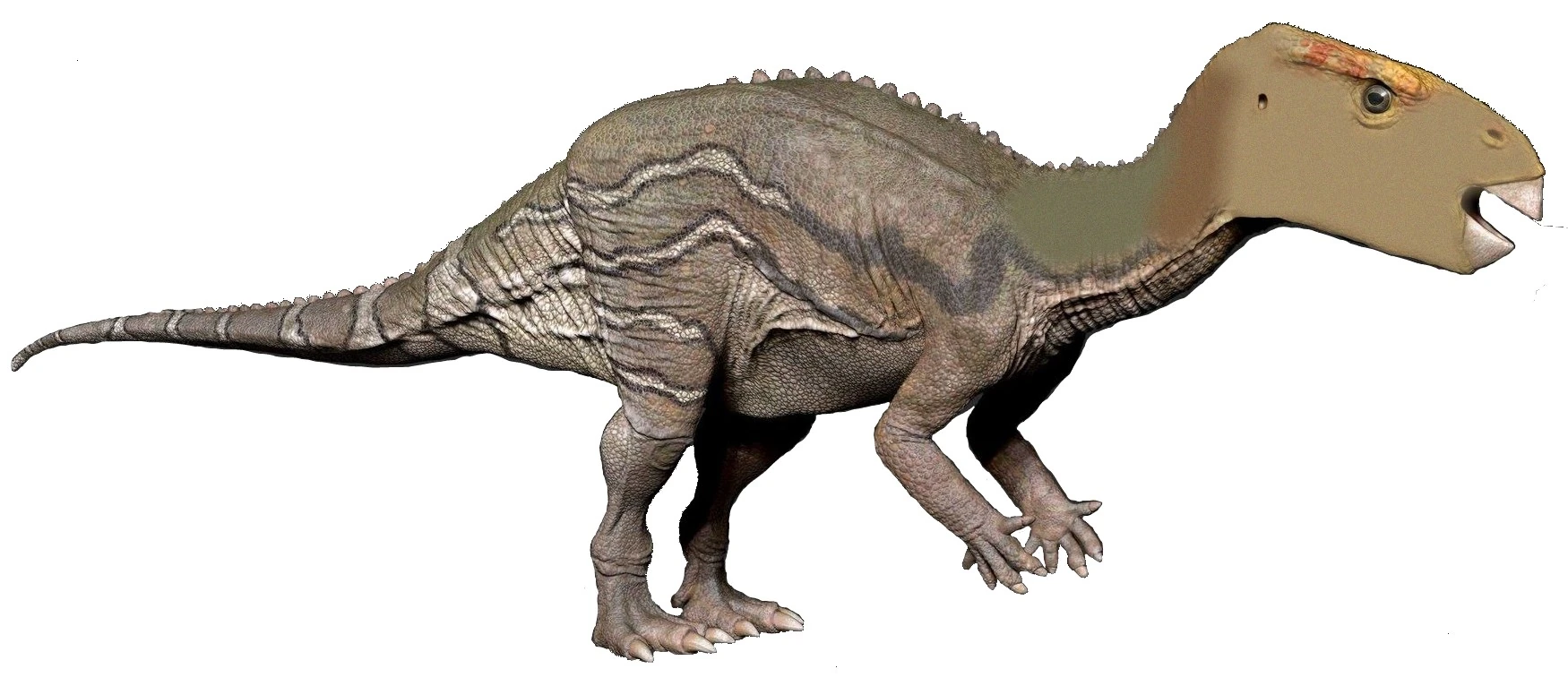 Rhabdodon (SciiFii) | Fanon Wiki | Fandom