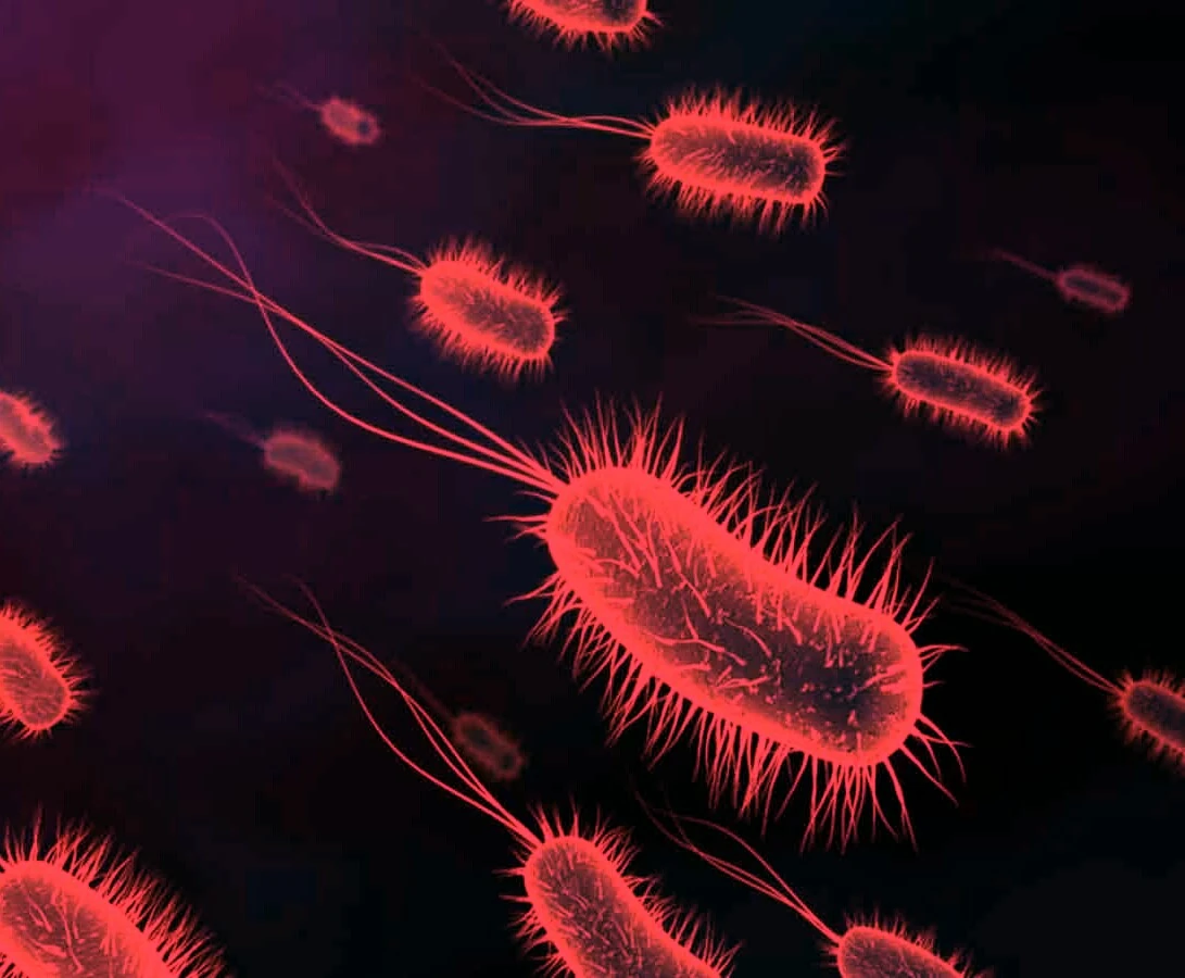 Vampirism Virus | Fanon Wiki | Fandom