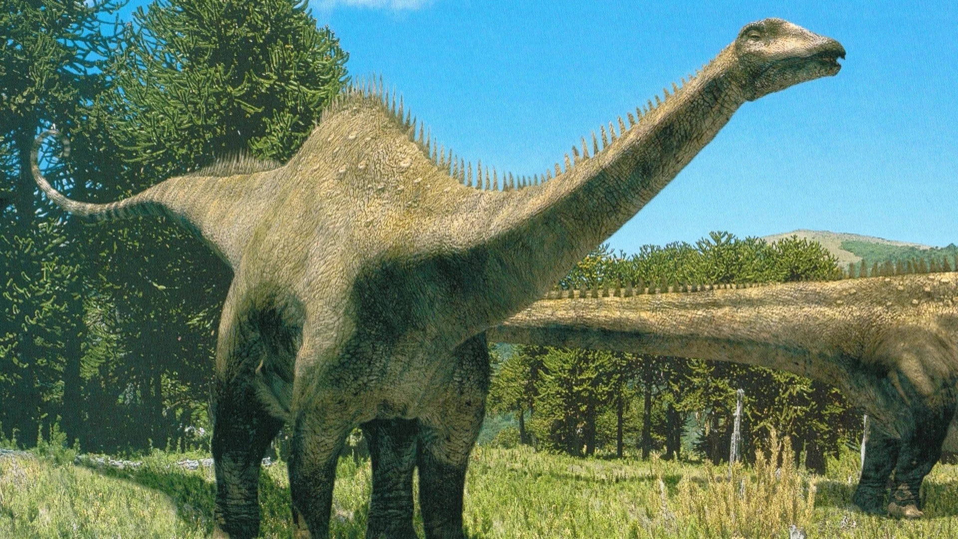 Greater Diplodocus | Fanon Wiki | Fandom