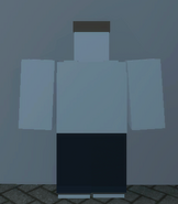 Black Suit Pants | Fantastic Frontier -roblox Wiki | Fandom