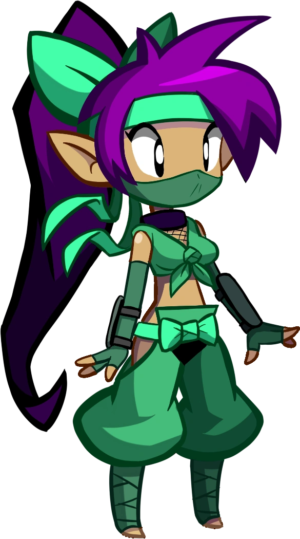 Image - Shantae - Ninja Costume.png | Fantendo - Nintendo Fanon Wiki ...