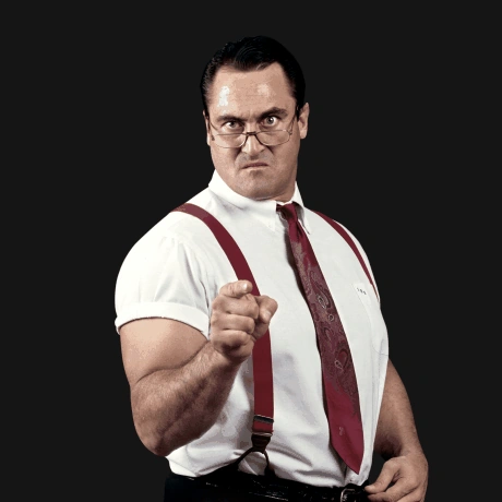 Image - Irwin R Schyster pro.png | Fantendo - Nintendo Fanon Wiki ...