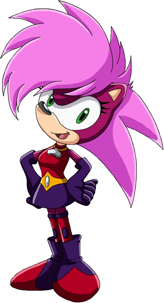 Image - 08 sonic x sonia.png | Fantendo - Nintendo Fanon Wiki | FANDOM ...
