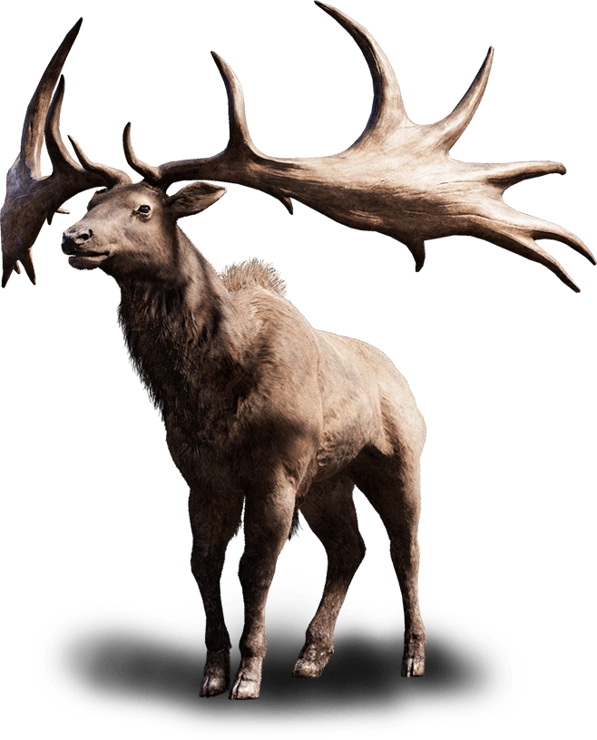Tall Elk | Far Cry Wiki | FANDOM powered by Wikia