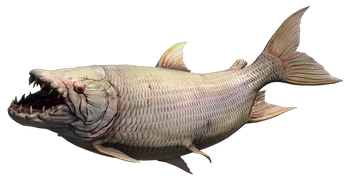 Demon Fish | Far Cry Wiki | FANDOM powered by Wikia