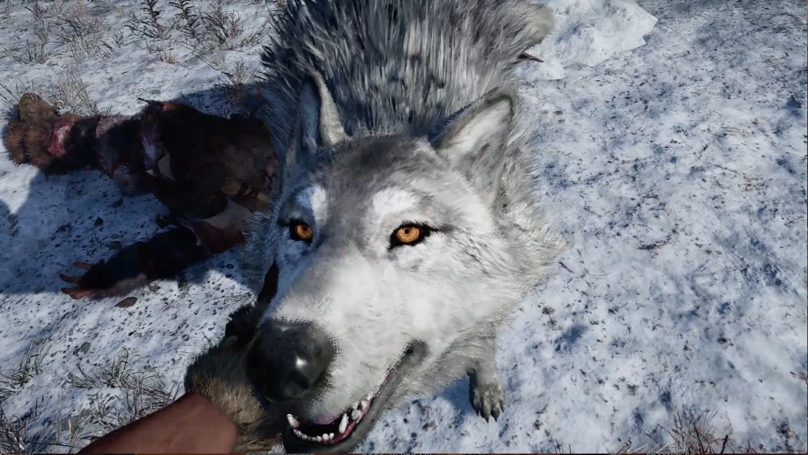 Image - Far-Cry-Primal wolf-petting.jpg | Far Cry Wiki | FANDOM powered ...