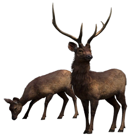 Sambar | Far Cry Wiki | Fandom