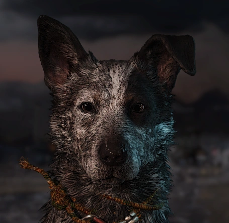 Boomer | Far Cry Wiki | FANDOM powered by Wikia