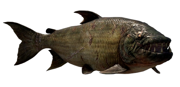 Demon Fish | Far Cry Wiki | FANDOM powered by Wikia