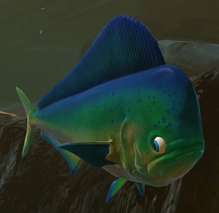 Mahi Mahi | Feed and Grow Fish Wikia | Fandom
